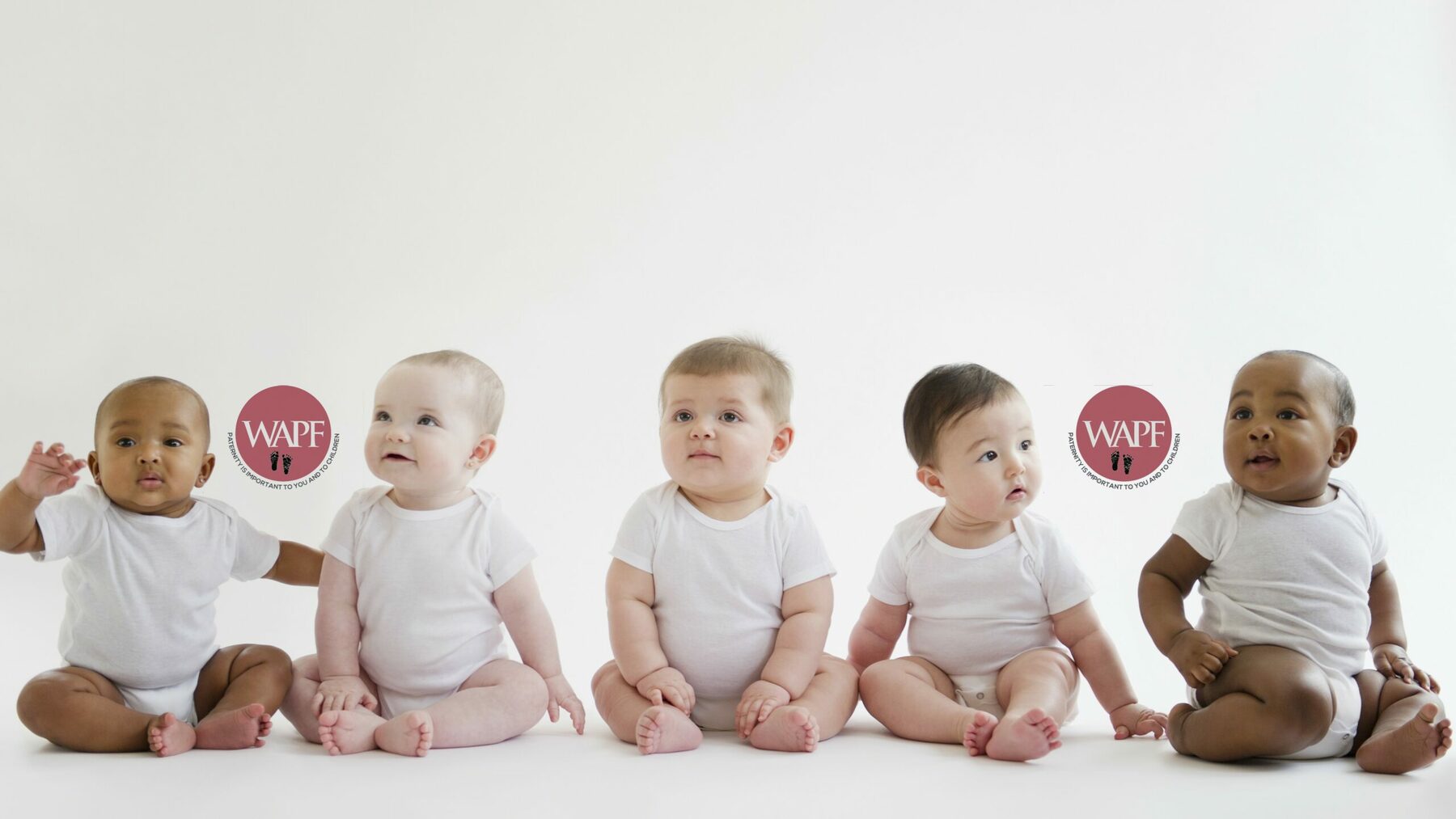 Paternity Fraud Statistics